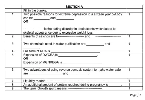 Download CBSE Class 12 Home Science Sample Papers 2024-25