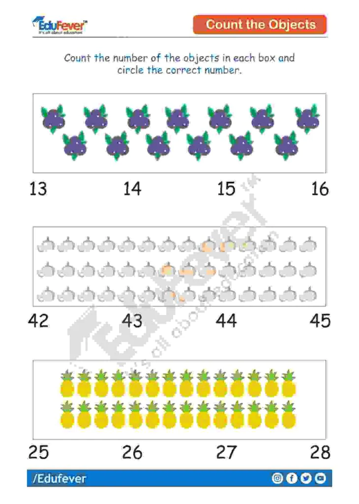 Get Latest Count the Object in Each Box UKG Maths Worksheets