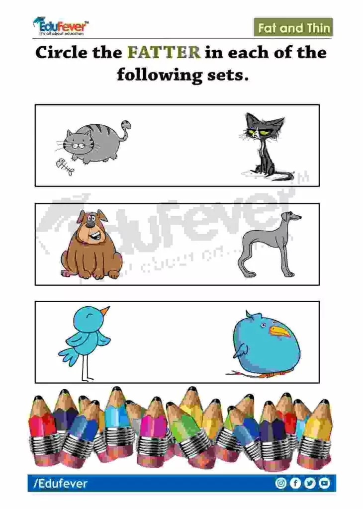 Get Latest Fat and Thin LKG Maths Worksheets 2024-25